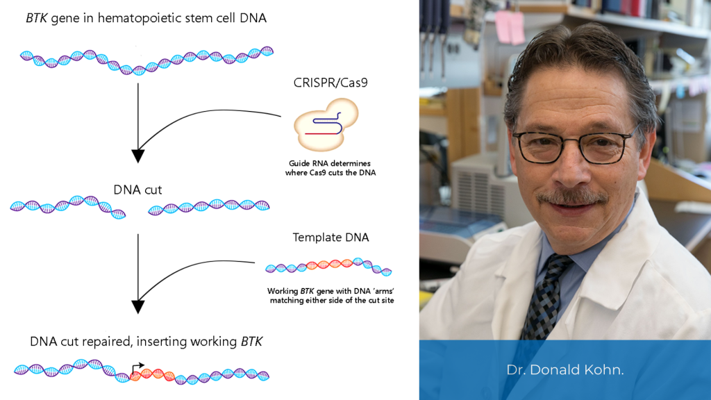 Blaese awardee is developing a gene editing strategy to treat XLA ...